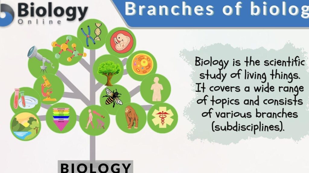 Descubre las divisiones de la biología y los campos de estudio más ...