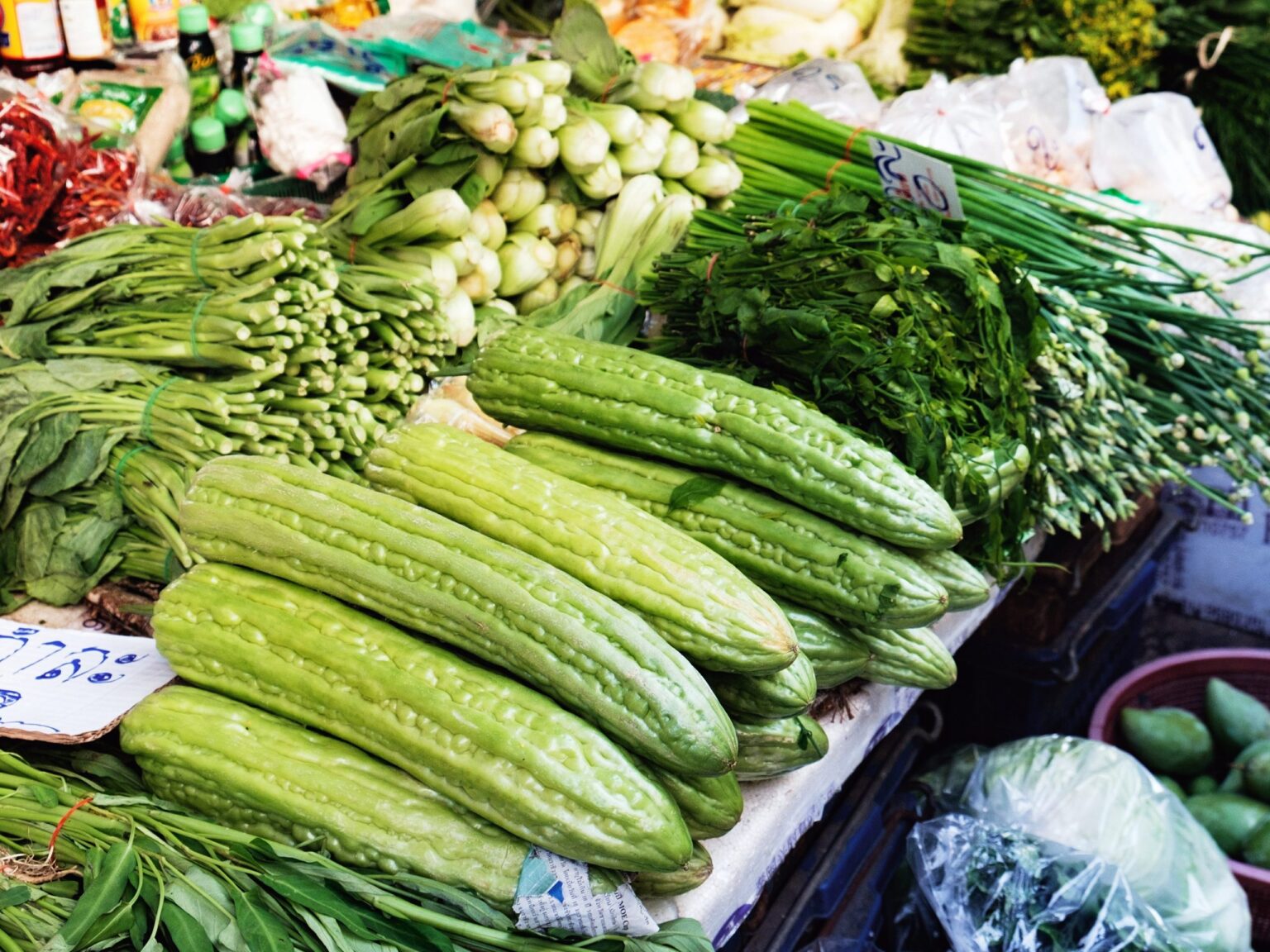 Clasificación de los vegetales: Características y tipos principales